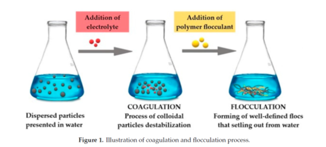 How do Natural Polymers Compare With Synthetics for Wastewater Treatment?