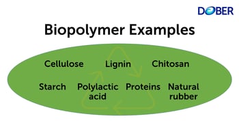 What Are Biopolymers?